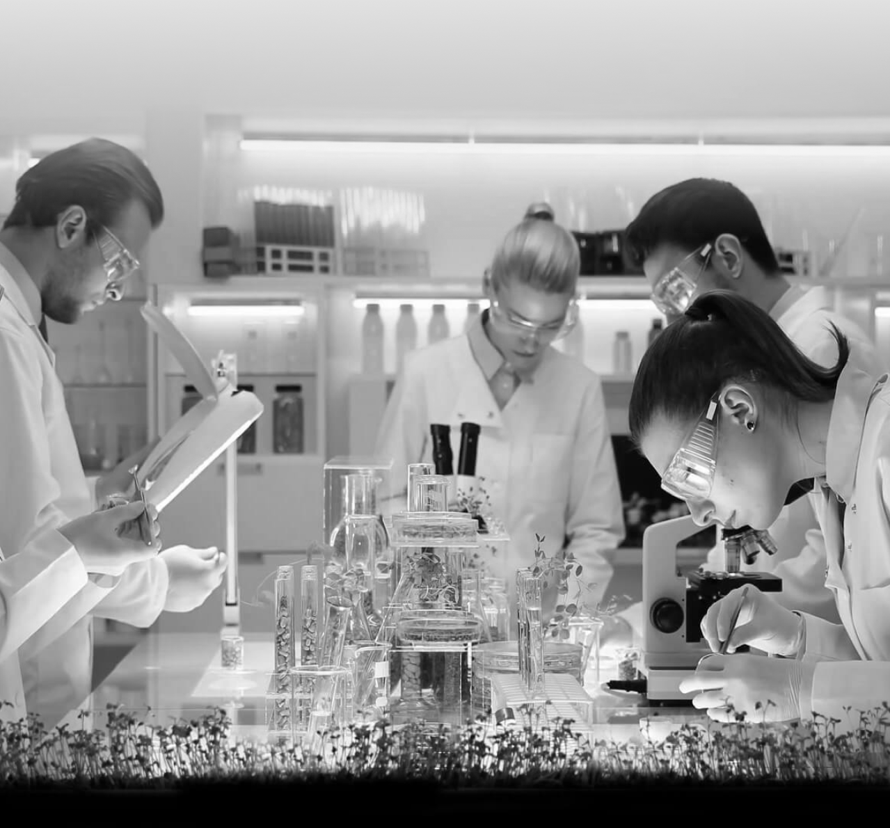 Misula Cosmetics Advanced Mediterranean Pro-Ageing Solutions – Mìsula